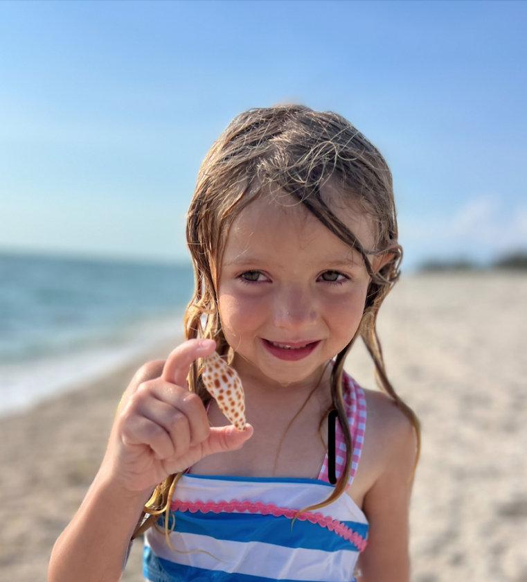 Junonia found on Captiva - SANIBEL-CAPTIVA - Island Reporter, Islander ...